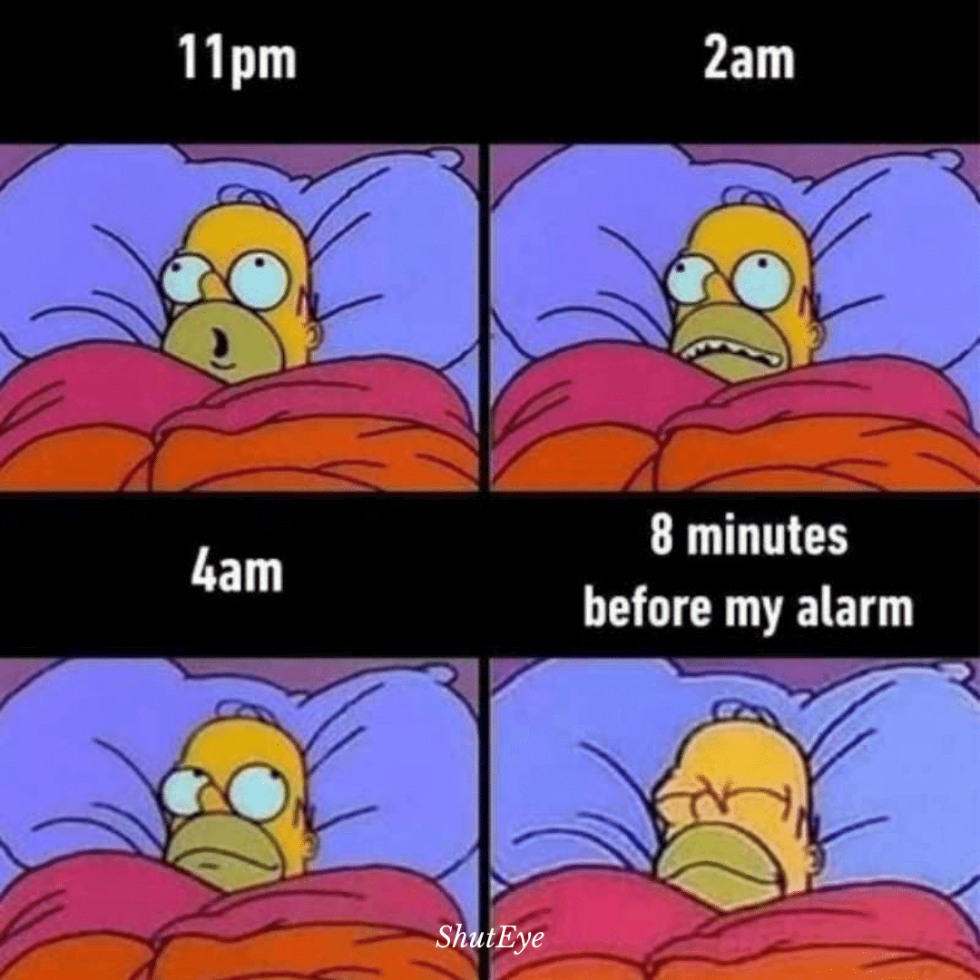 50 Of The Funniest Can t Sleep Memes Ever ShutEye