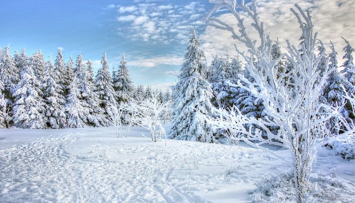 how-many-days-until-winter-shuteye